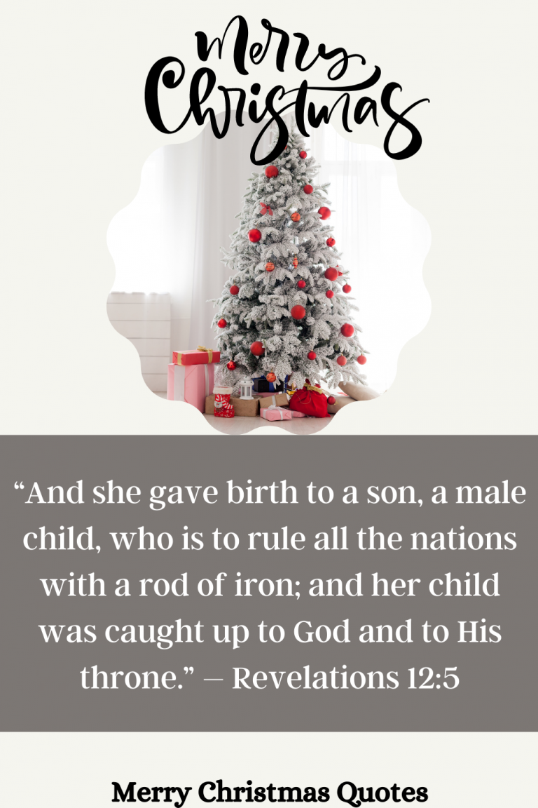 151+ Holy Bible Quotes for Christmas - Merry Christmas Quotes
